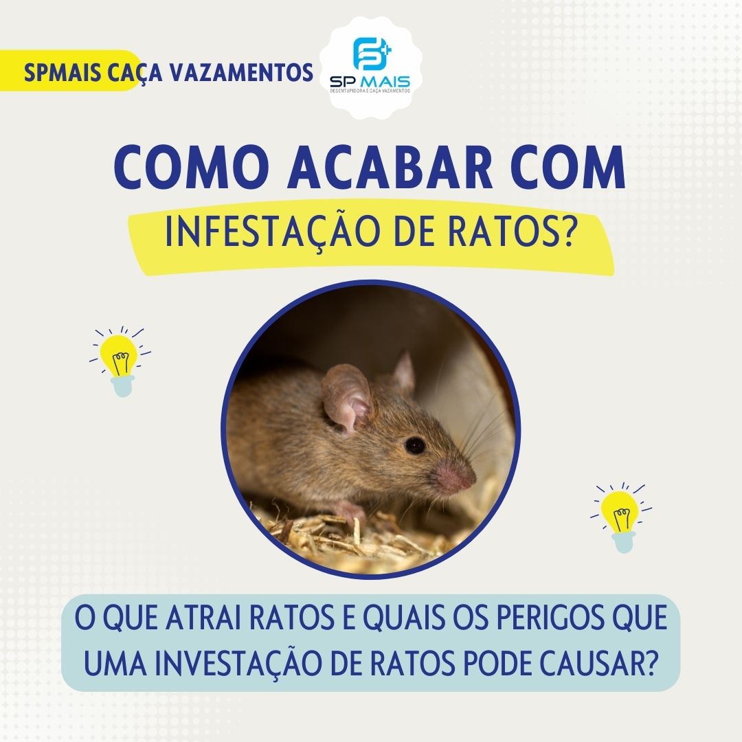 Como Acabar com Ratos e eliminar em Qualquer Lugar? Descubra